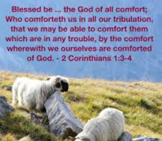 2 Corinthians 1:3-4. Is my strategy in comfort. – GODs Team! Be encouraged.